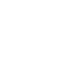 EMSEAL SEISMIC COLORSEAL - BAPI